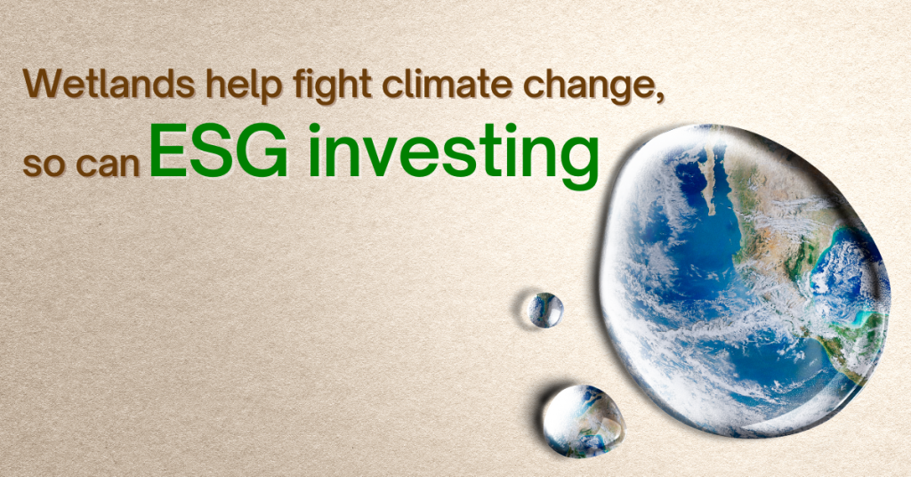 Wetlands help fight climate change, so can ESG investing - POEMS
